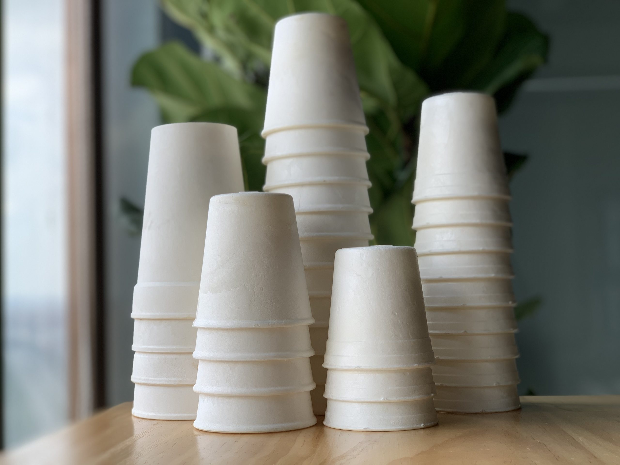 Biodegradable Coffee Cups 8/12/16oz Corn Starch Variety of Sizes