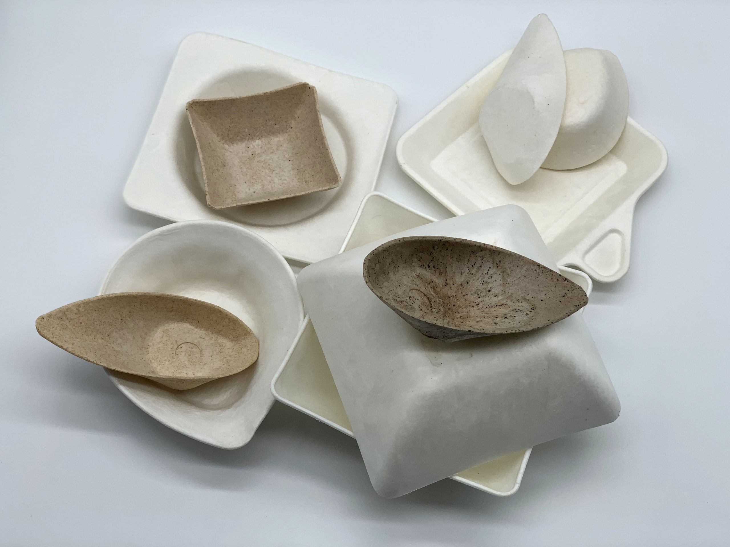 disposable biodegradable dishes for sushi olive sauce dipping and snacks