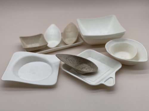 biodegradable dishes for finger food eco friendly packaging disposable