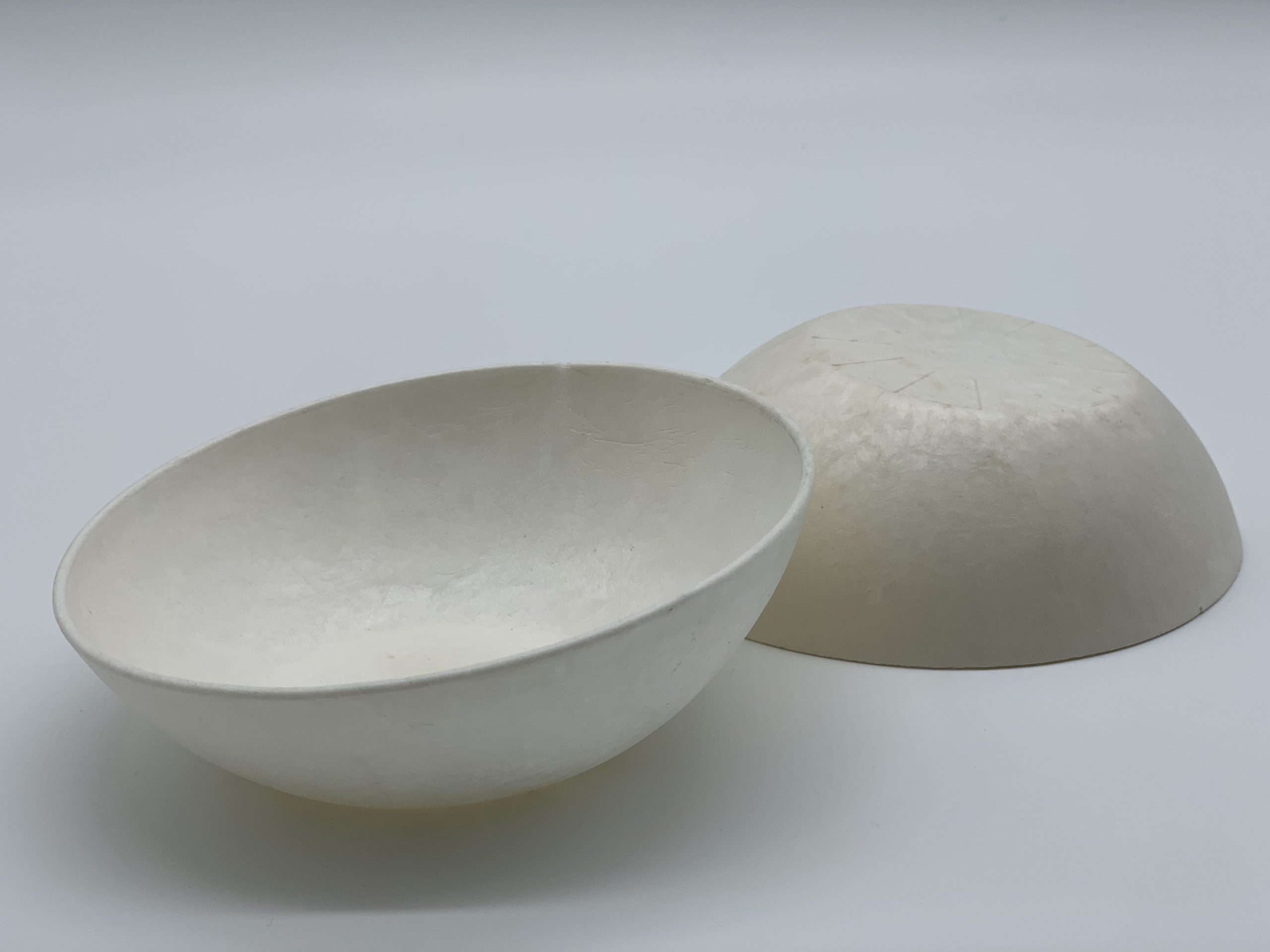 Biodegradable dishes for sauce dipping made from natural corn starch