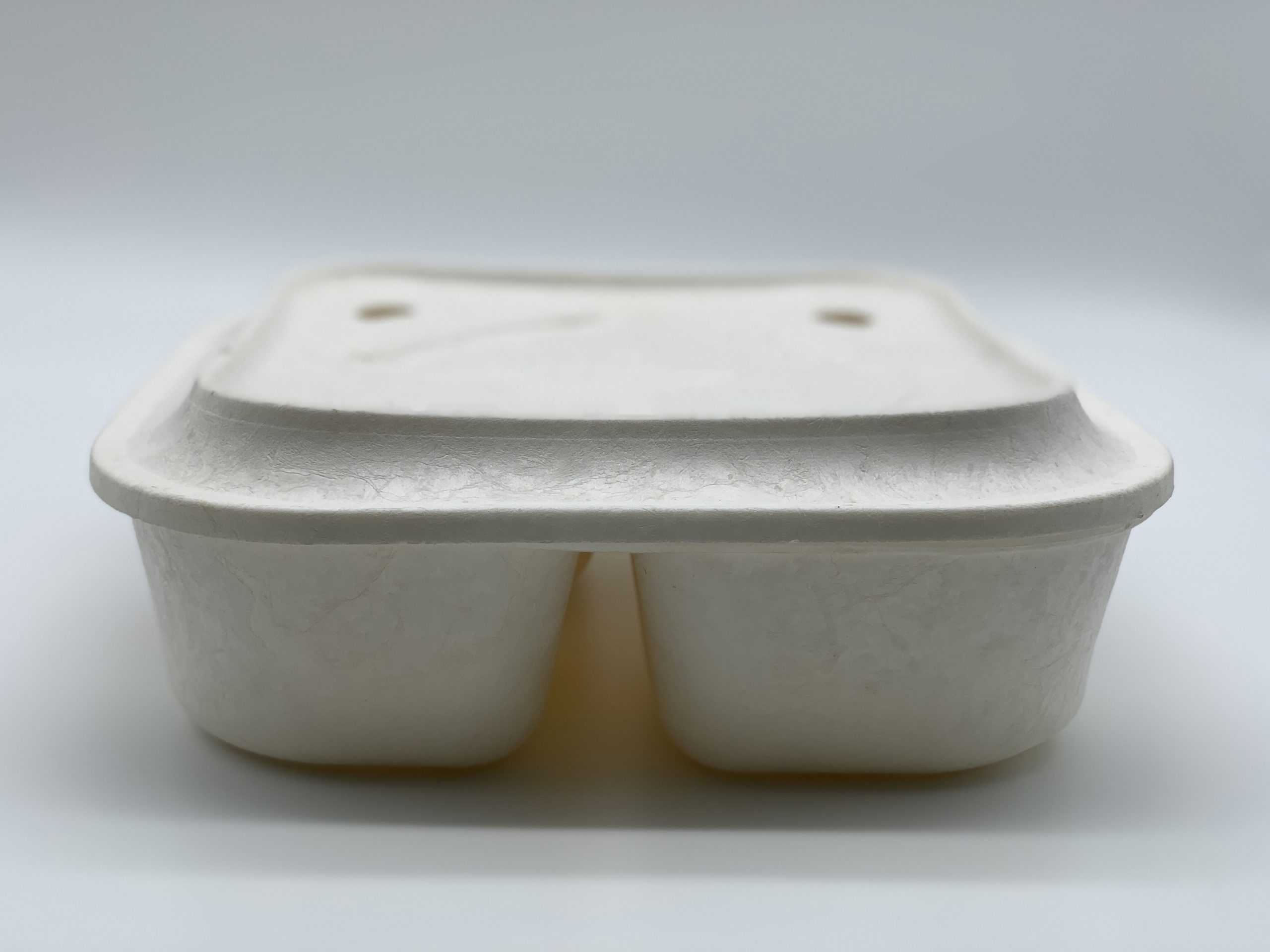 disposable takeaway fast food biodegradable eco-friendly food containers