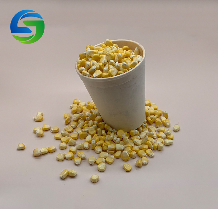 Biodegradable Coffee Cups 8/12/16oz Corn Starch Variety of Sizes