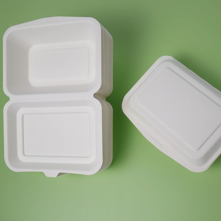 disposable takeaway fast food biodegradable eco-friendly food containers