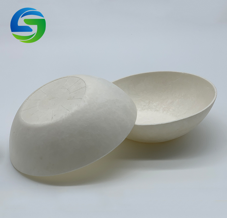 disposable biodegradable dishes for sushi olive sauce dipping and snacks