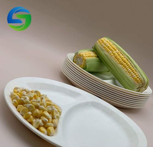 10 inch Corn Starch Eco friendly Disposable Plates for wedding party