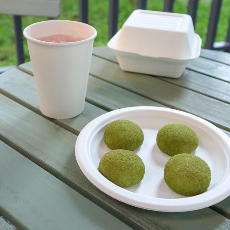 biodegradable dishes for finger food eco friendly packaging disposable