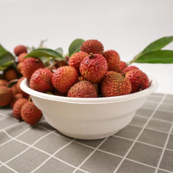 Biodegradable Sugarcane Tableware Series or bagasse packaging