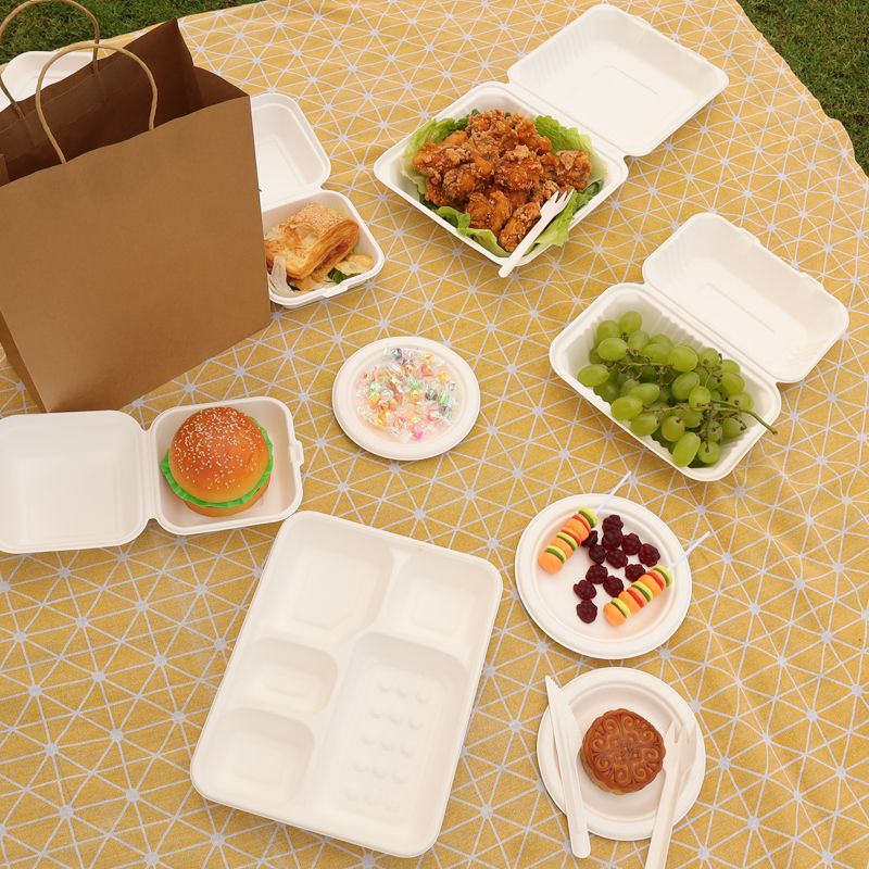 Sugarcane Food Containers: Eco-Friendly,Biodegradable Packaging