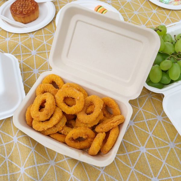 Eco friendly Food Containers Food packaging Biodegradable Sugarcane