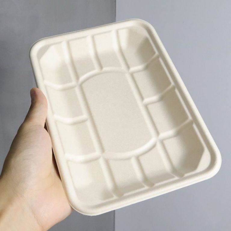 disposable biodegradable dishes for sushi olive sauce dipping and snacks