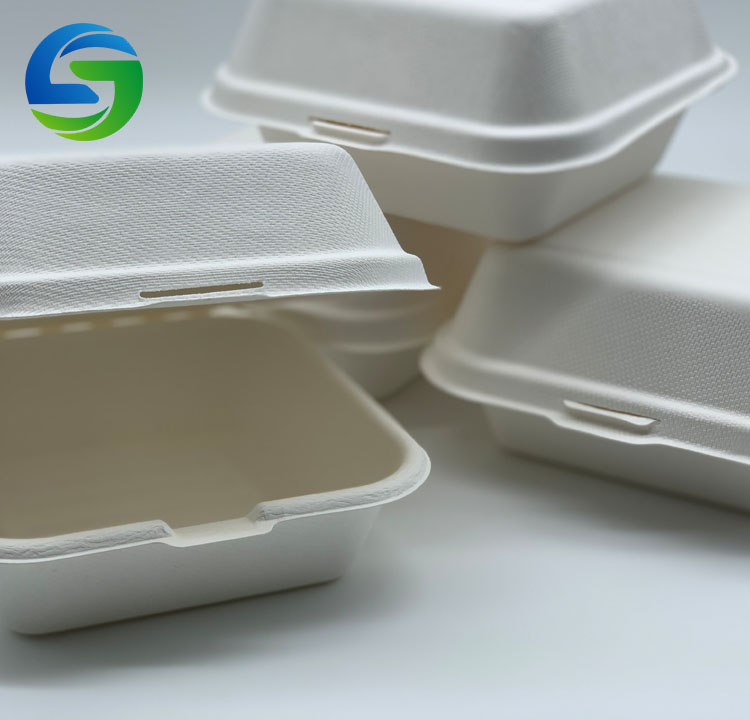 food box container takeaway in Natural Fiber Bagasse Pulp for fast food 6"