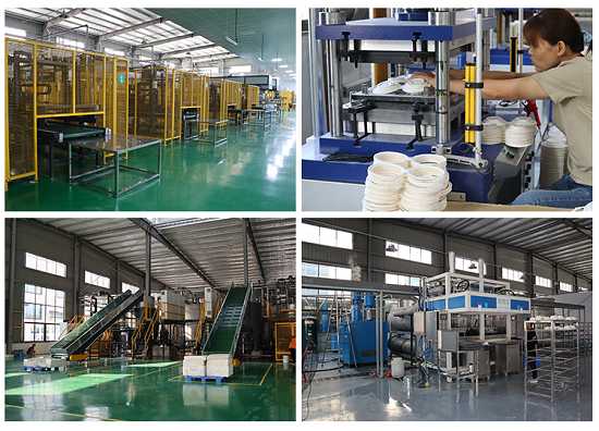 eco-friendly packaging biodegradable food packaging manufacturer China