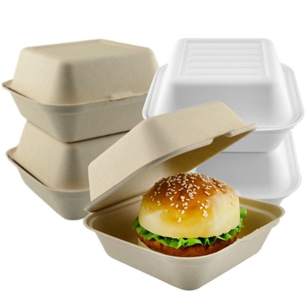 Eco friendly Food Containers Food packaging Biodegradable Sugarcane