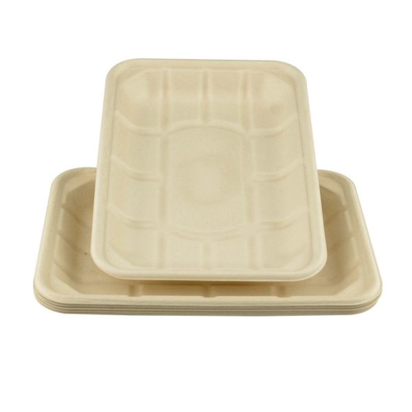 Biodegradable Food Containers, Bagasse Disposable Food Containers