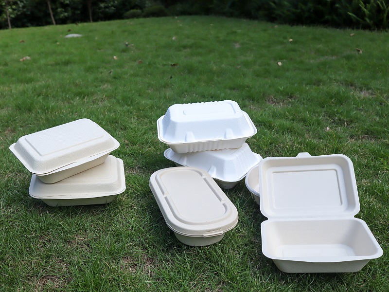 Biodegradable Sugarcane Bagasse Containers: The Ultimate Eco-Friendly ...
